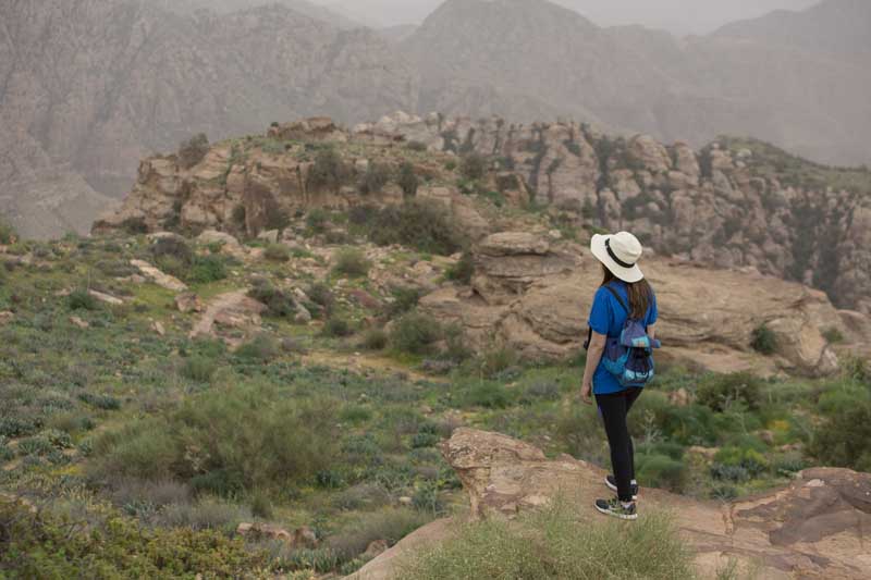 Rummanah Camp in Dana Reserve - Rummanah Camp in Dana Reserve